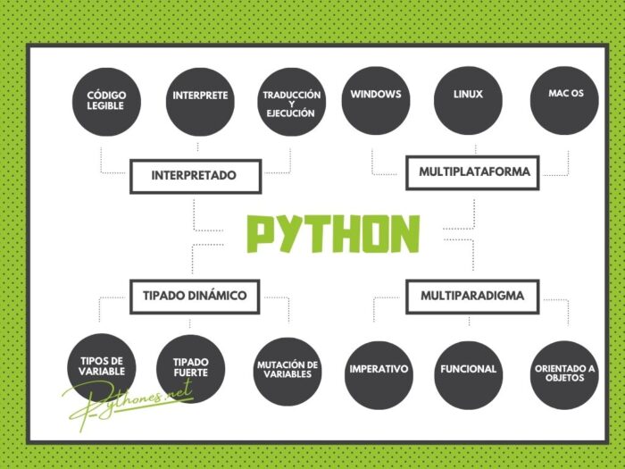 Qué es Python: Guía Completa para Principiantes+ Ejemplos 🐍 ...