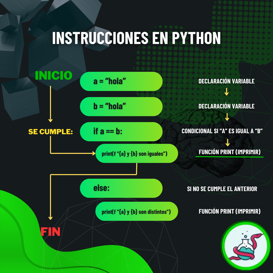 🖋️Sintaxis en Python 3 Errores comunes + Instrucciones - Programación en Python