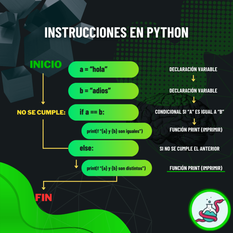 🖋️Sintaxis en Python 3 Errores comunes - PROGRAMACIÓN EN PYTHON